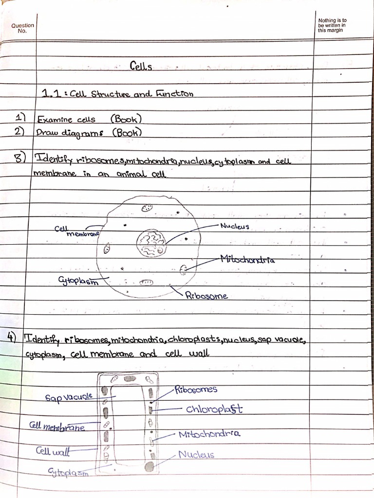 Biology Notes PDF | PDF