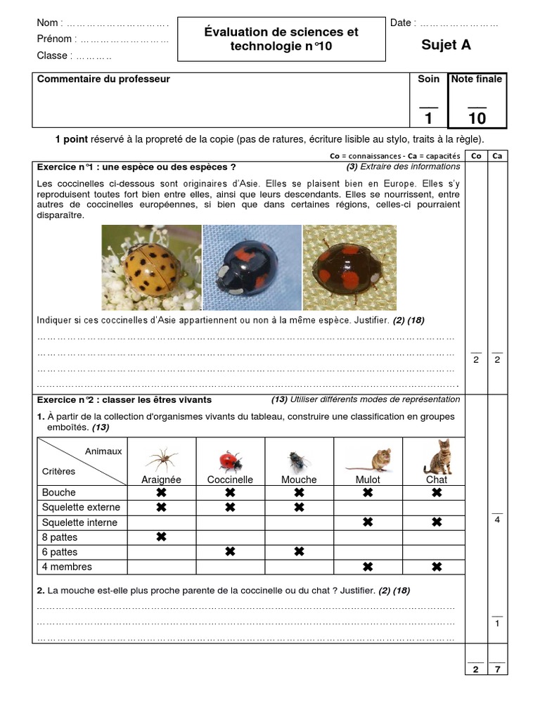 Évaluation SVT : Classification des êtres vivants | PDF | Organismes