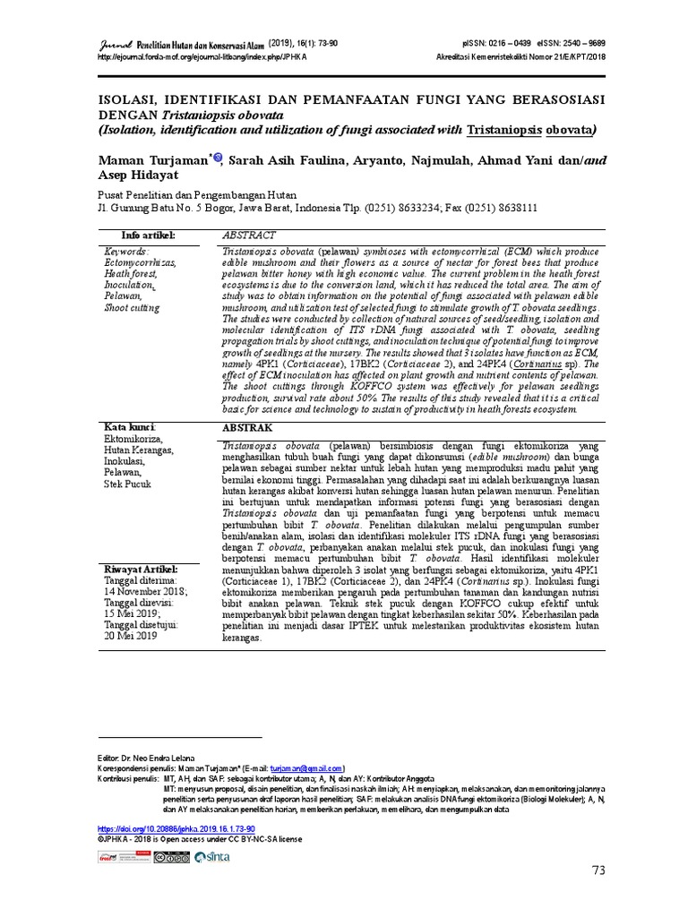 Teknik Isolasi Mikoriza Ekto | PDF