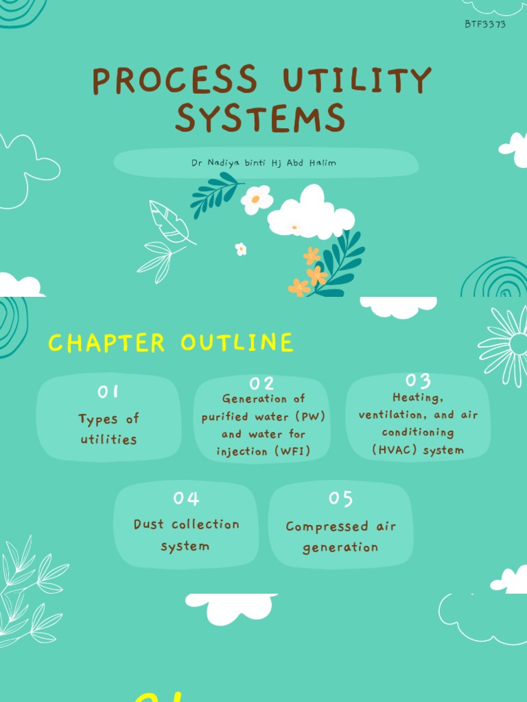Process Utility System Part 1 | PDF | Purified Water | Ion Exchange