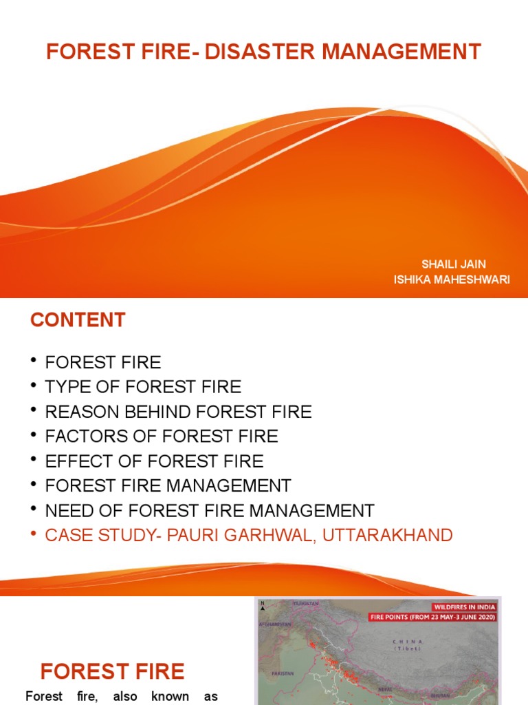 Forest Fire | PDF | Wildfire | Fires