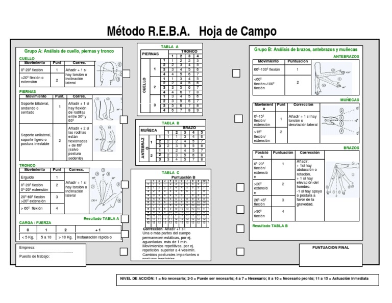 Método R.E.B.A. - Hoja de Campo | PDF
