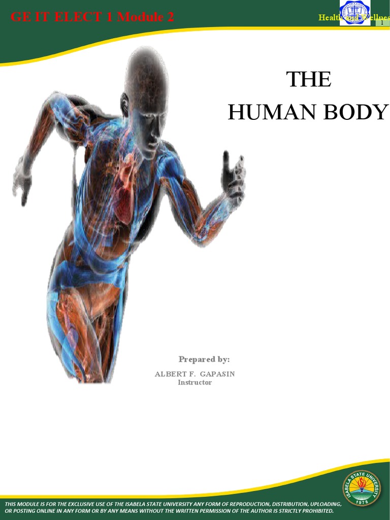 Health and Wellness MODULE 2 | PDF | Vertebral Column | Anatomical ...