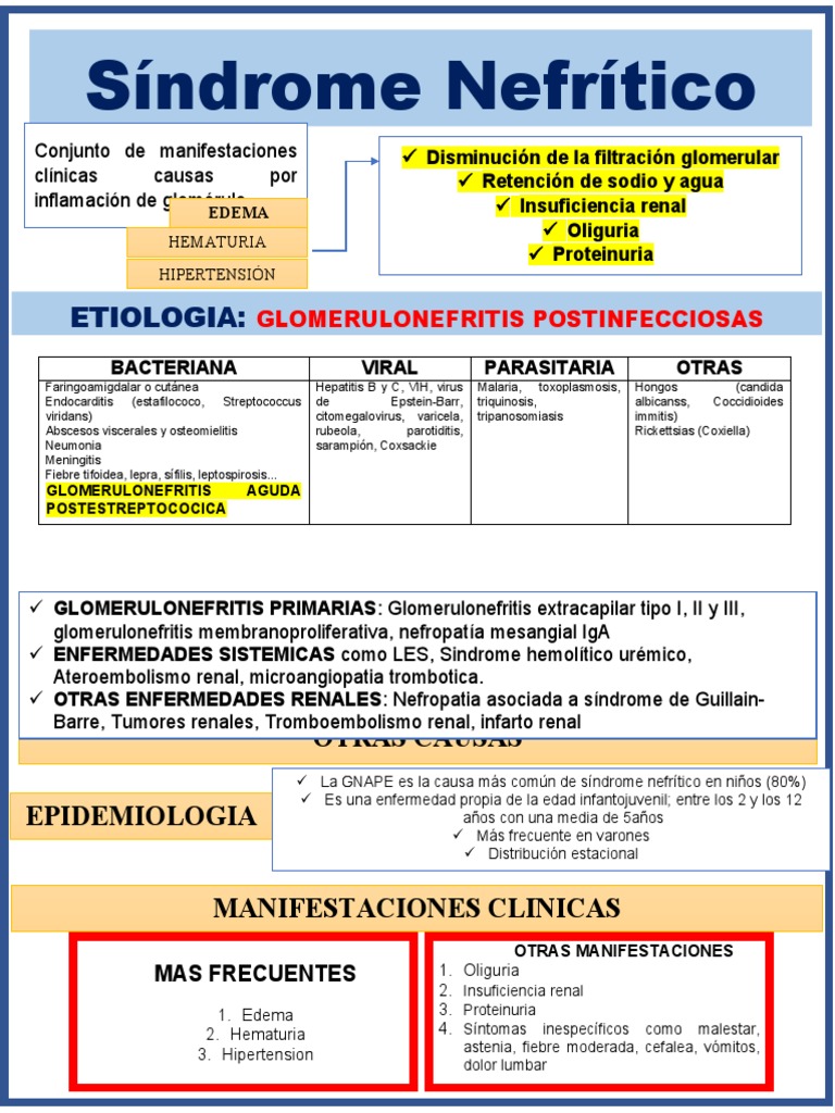 Sindrome Nefritico | PDF | Medicina CLINICA | Microbiología