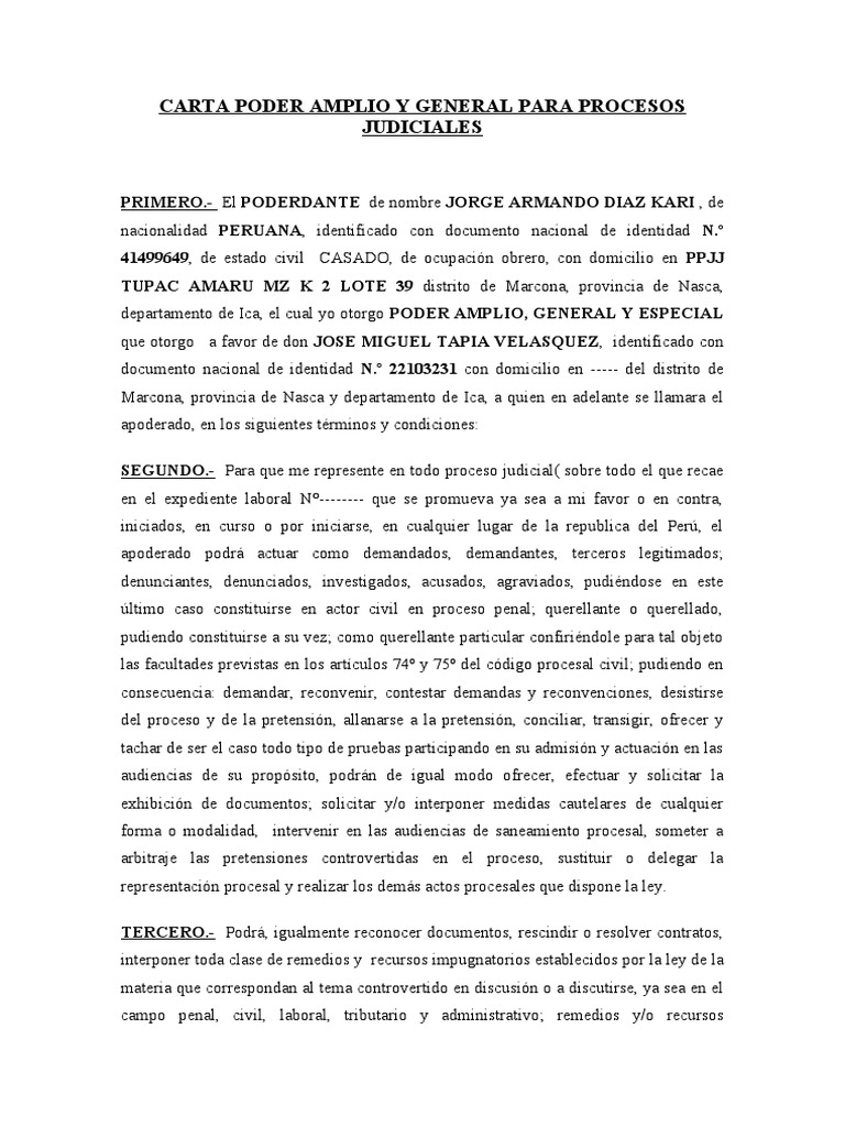 Carta Poder Proceso Judicial Editado | PDF | Separación de poderes ...