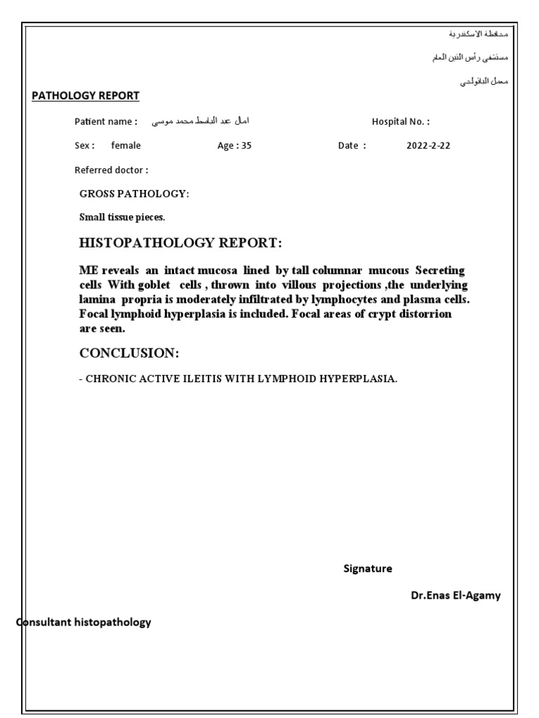 Pathology Report | PDF