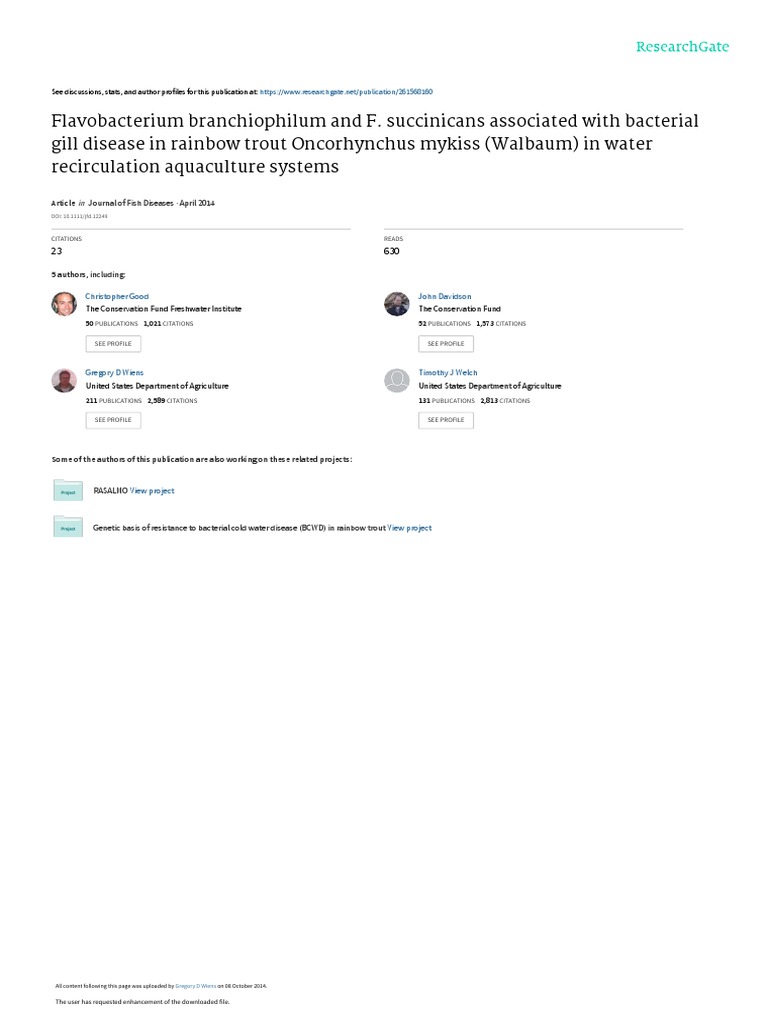 Flavobacterium Branchiophilum and F Succinicans As | PDF | Bacteria ...