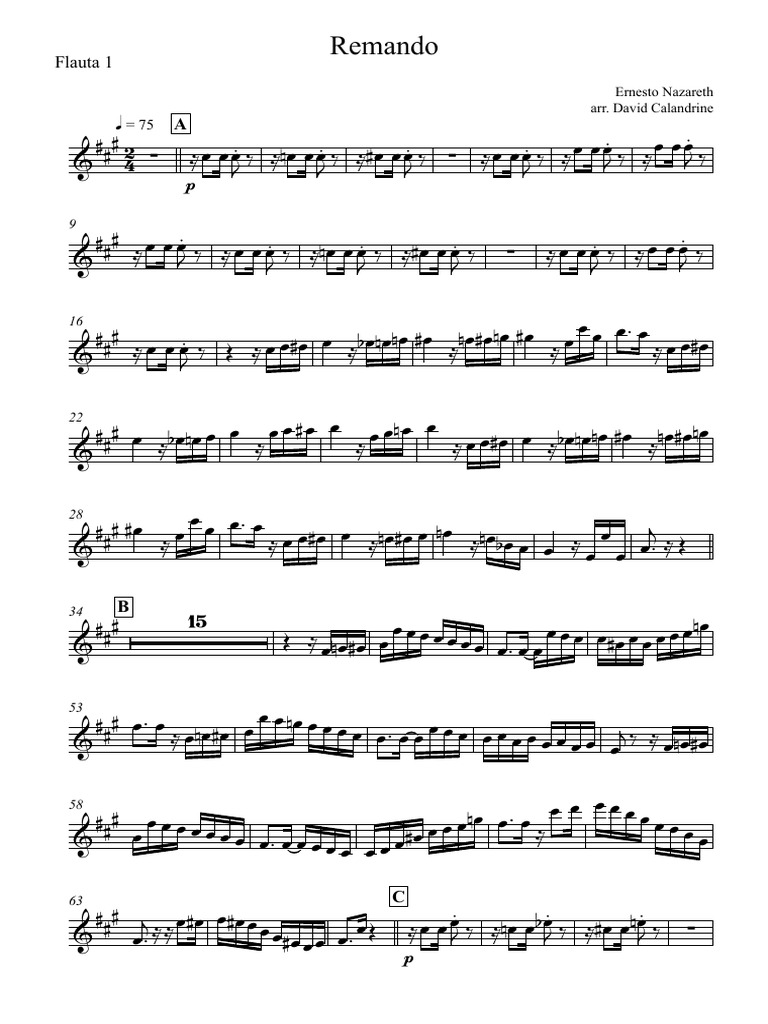 Remando Arranjo - Flauta 1 | PDF
