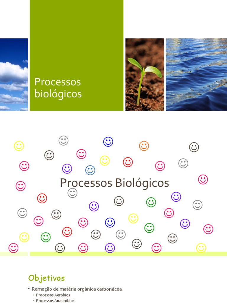 Processos Biológicos - 2016 | PDF | Metano | Química
