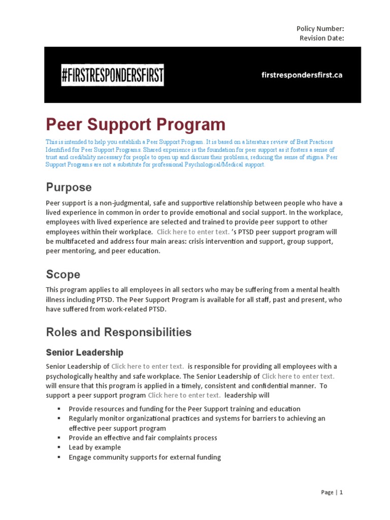 Setting Up A Peer Support Program Document | PDF | Confidentiality ...