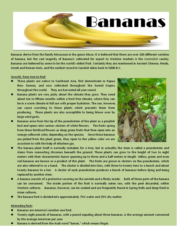 Banana | PDF | Banana | Food And Drink
