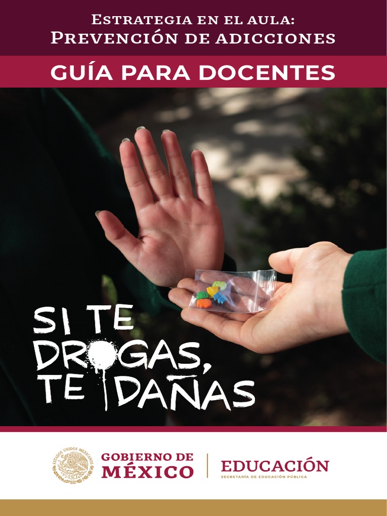 Guia Para Docentes Pdf