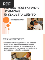 Historia Clínica Neurológica y Batiestesia | PDF | Lengua | Músculo