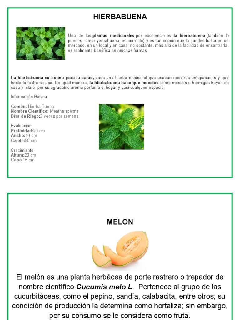 Plantas JBC 2 | PDF