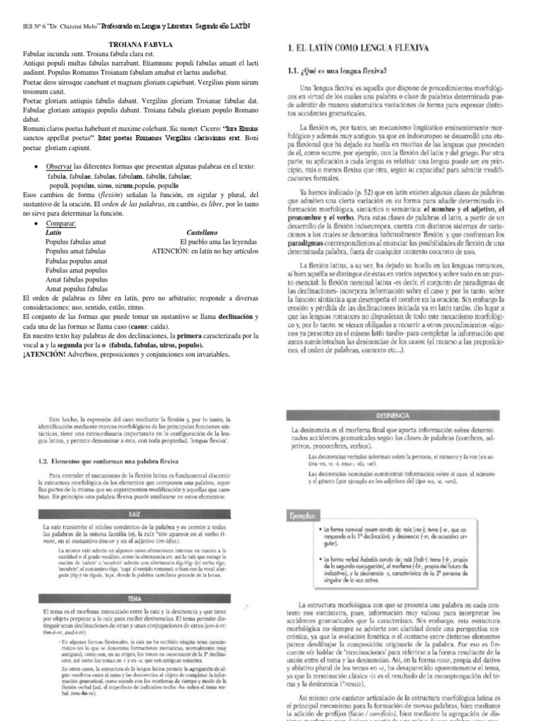 El Latin Como Lengua Flexiva PDF | PDF