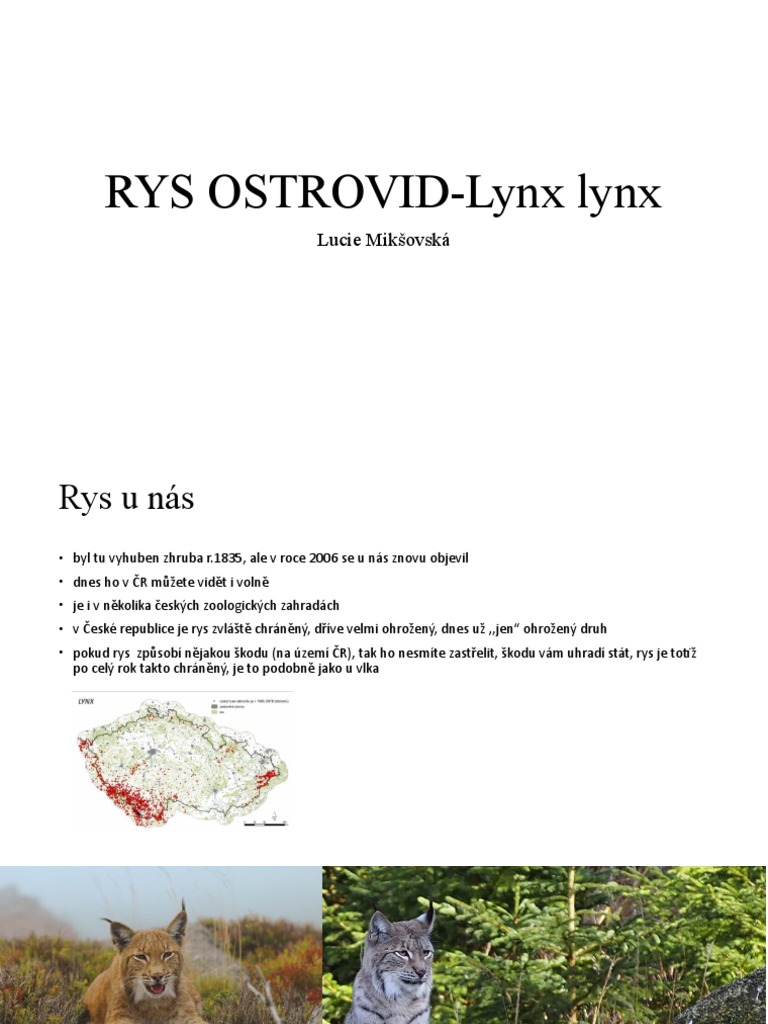 Rys Ostrovid | PDF