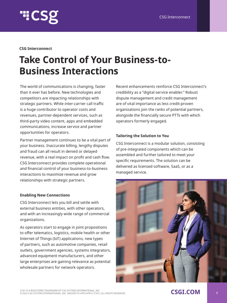 CSG Interconnect Datasheet | PDF | Internet Of Things | Computing