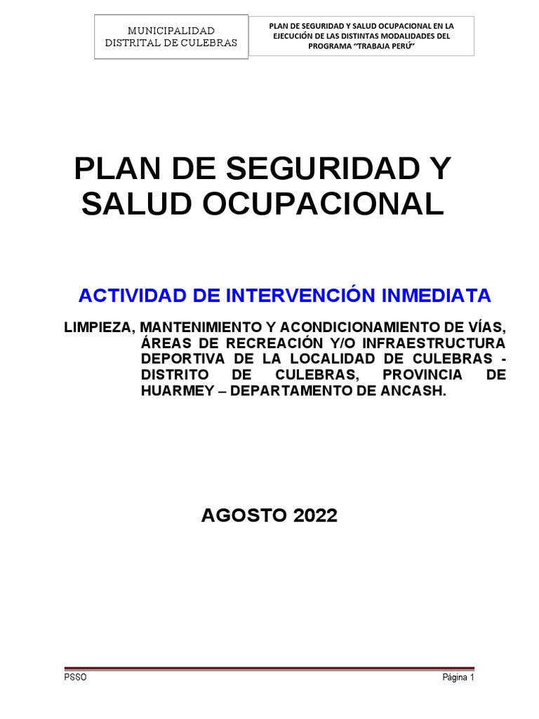 Plan de SST | PDF | Seguridad y salud ocupacional | Perú