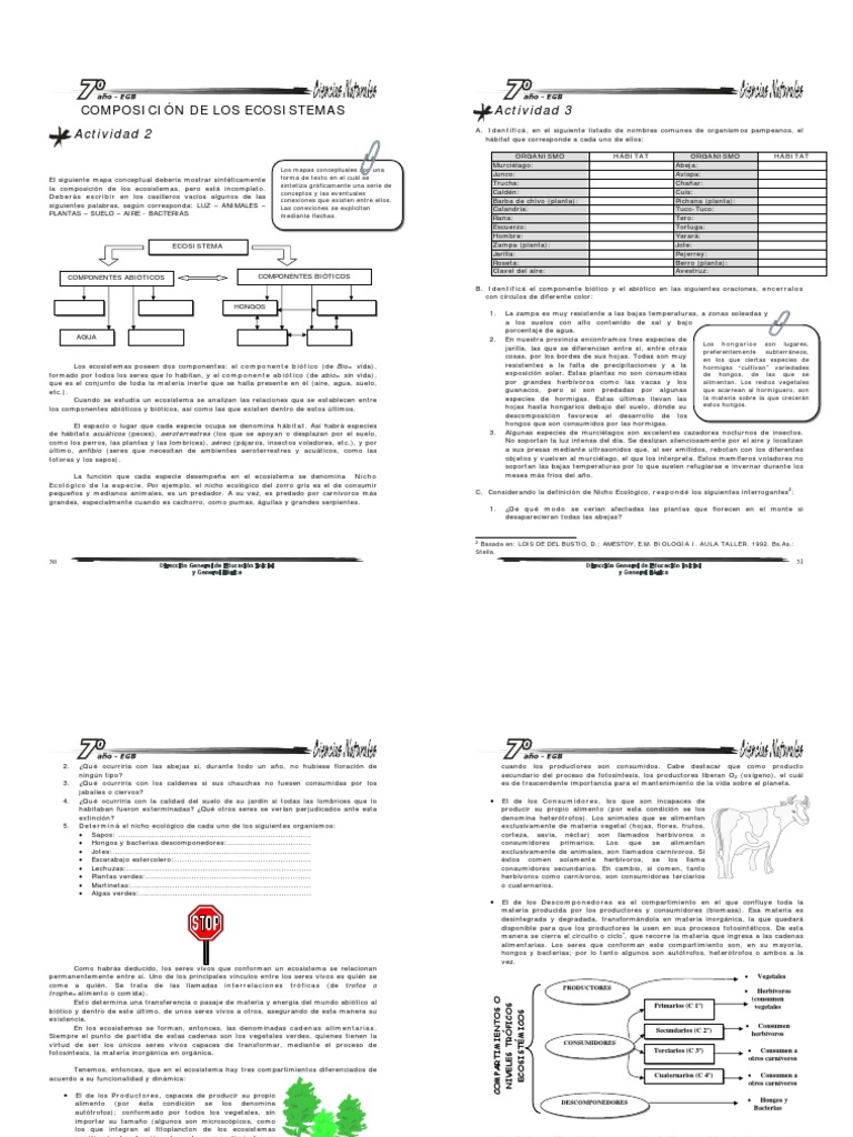 Ecosistema y Cadena PDF | PDF | Ecología | Red alimentaria
