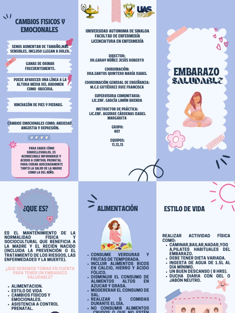 Triptico Embarazo Saludable PDF | PDF | El embarazo | Alimentos