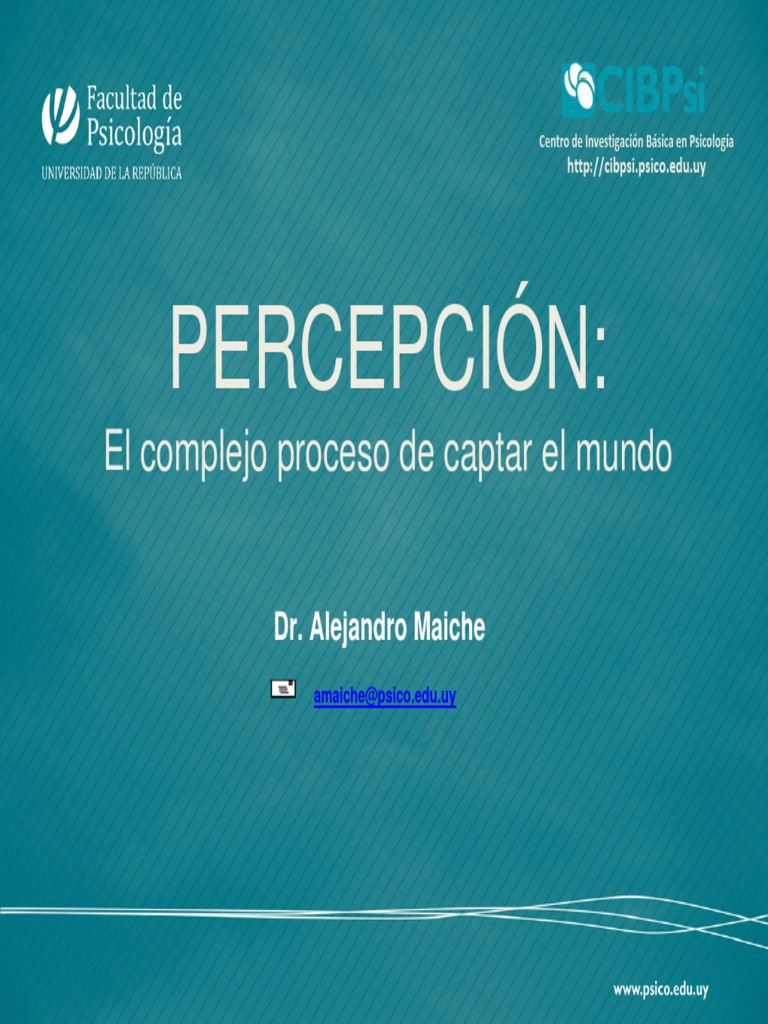 Clase 4-5 Y6 Percepcion | PDF | Percepción | Percepción visual