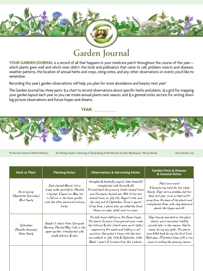 Garden Journal - Chestnut School of Herbal Medicine | PDF | Gardens ...