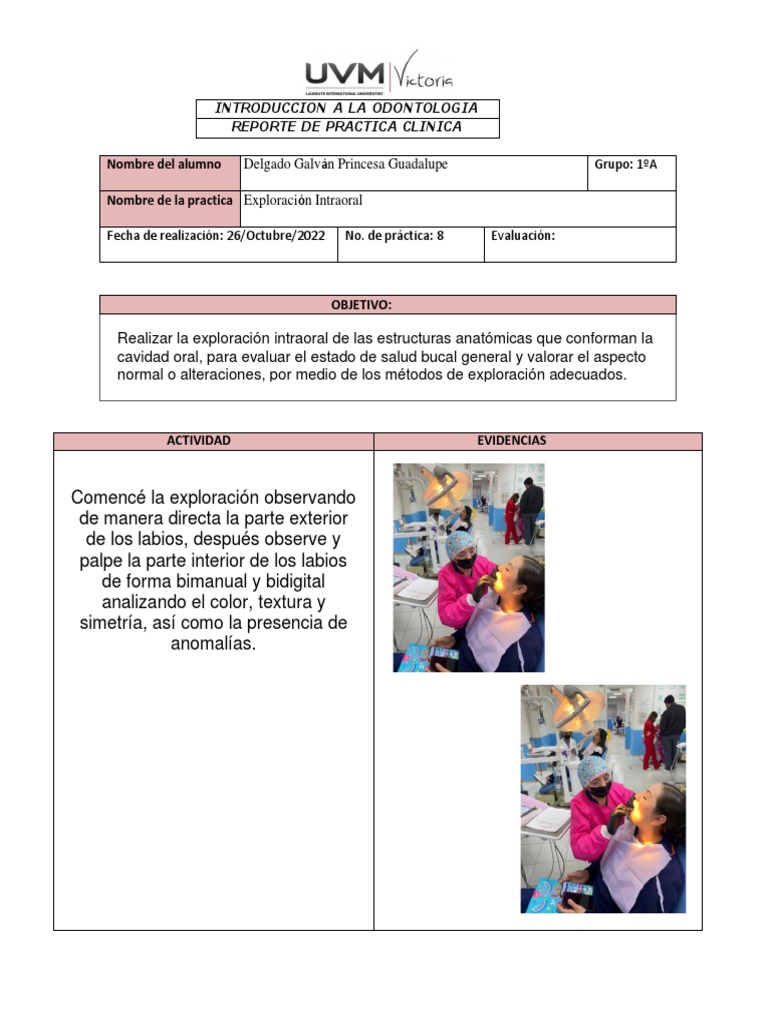 Formato Practica 8 Pdf