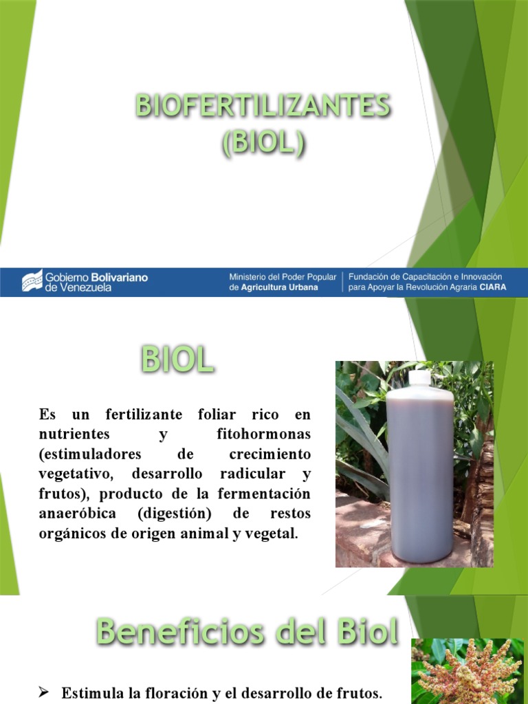 Preparación y beneficios del biol, un fertilizante orgánico de efecto ...