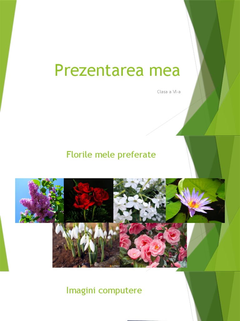 Proiect Powerpoint | PDF