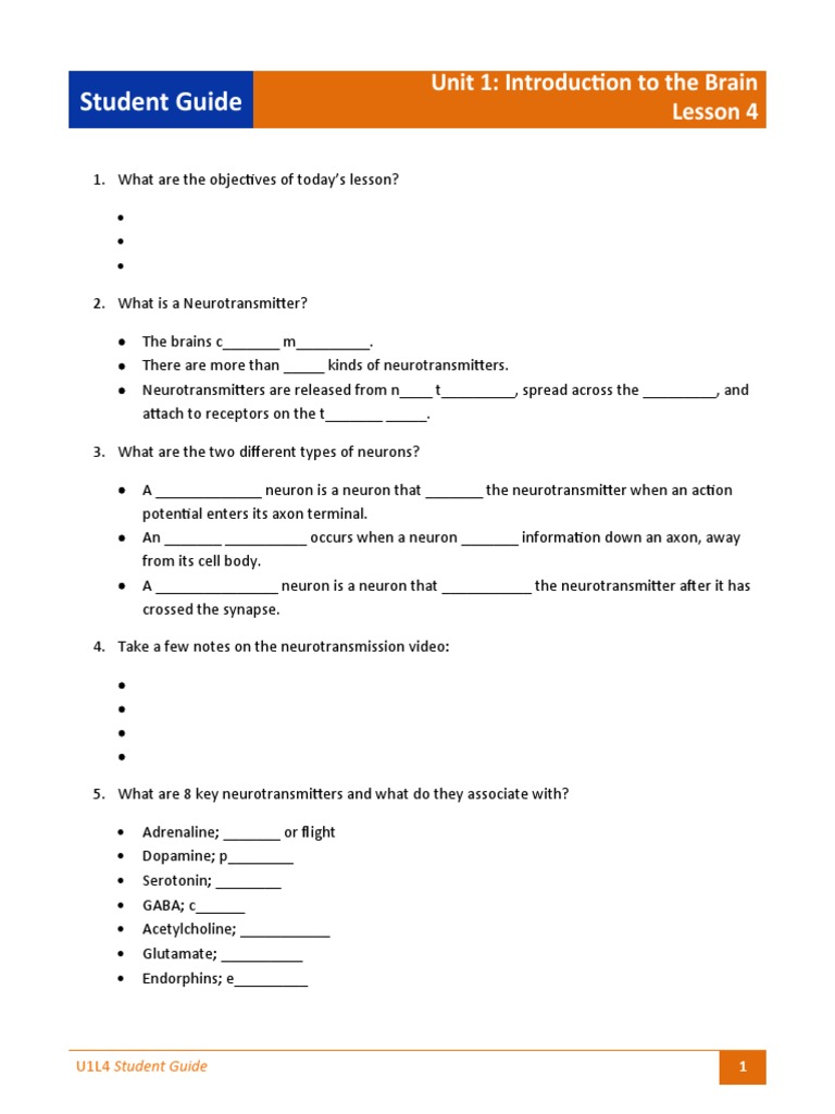 U1L4 Student Guide | PDF | Neurotransmitter | Neuron