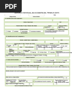 DIAT Word Formato | PDF