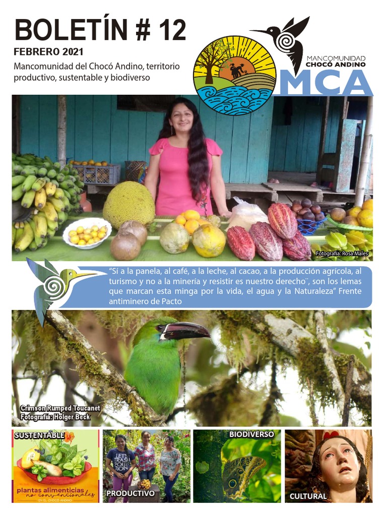 BOLETÍN #12, Mancomunidad Del Chocó Andino, Territorio Productivo ...