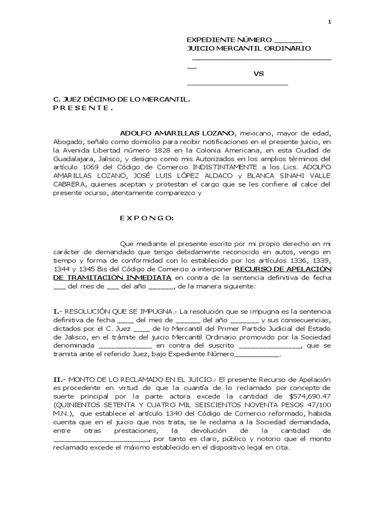 Formato Recurso de Apelación | PDF