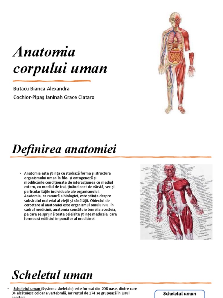 Anatomia Corpului Uman | PDF