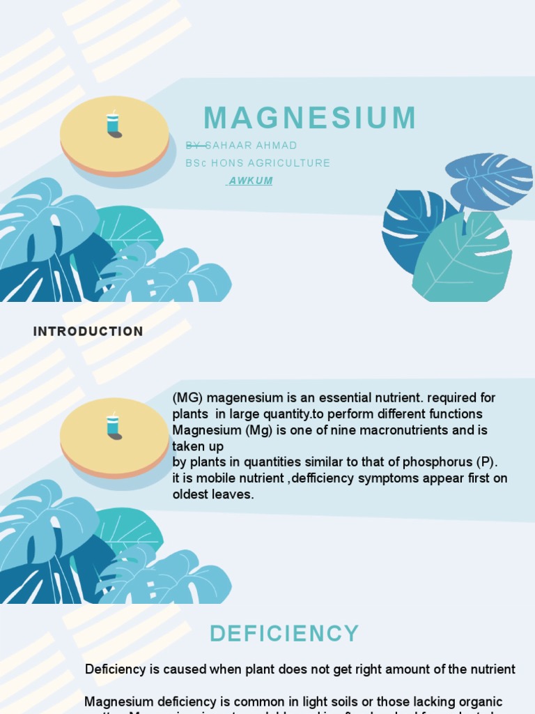 Magnesium Presentation | PDF