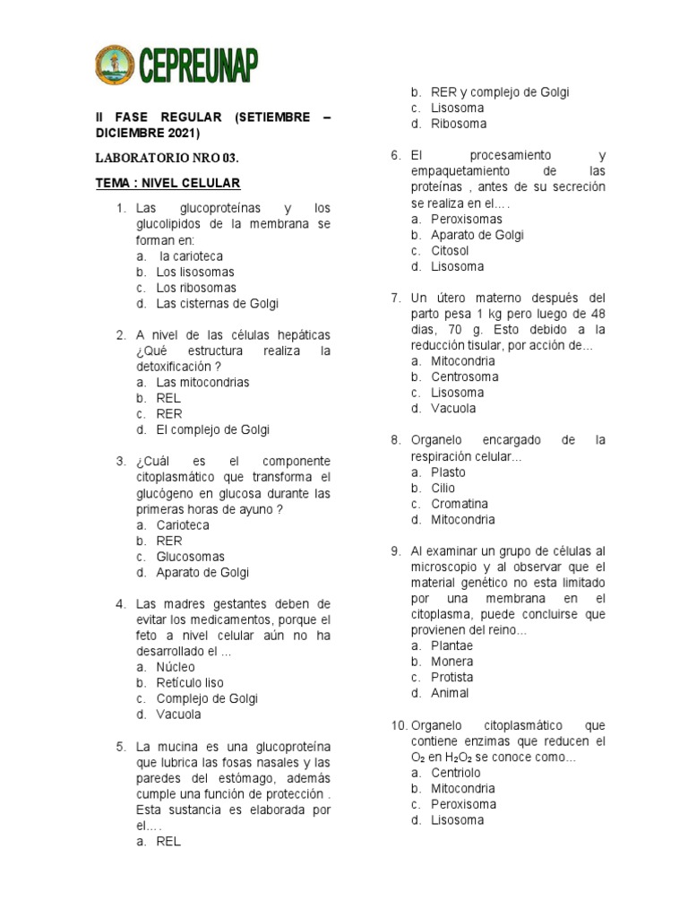 Laboratorio 03 | PDF | Citoplasma | Vacuole
