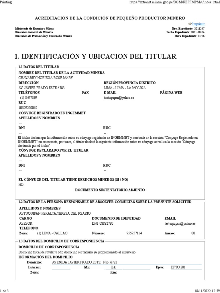 Constancia Pequeño Productor Minero | PDF