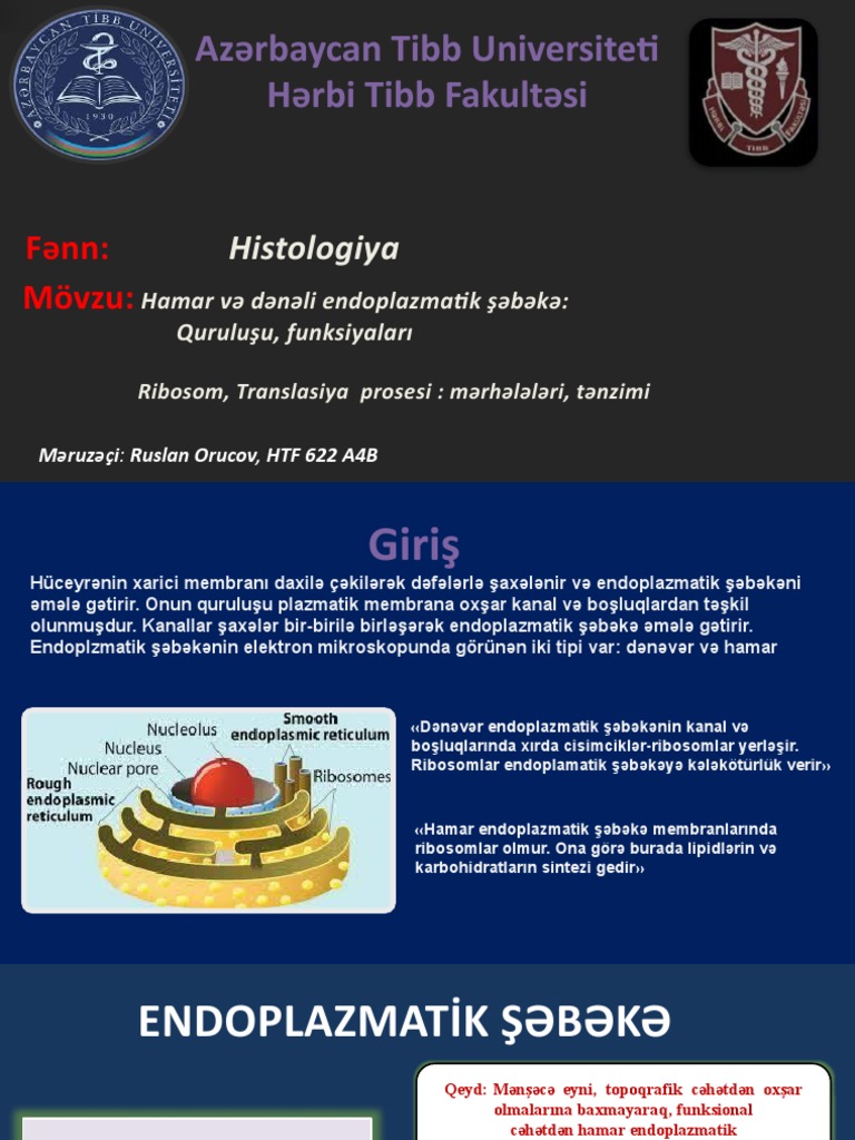 Hamar VƏ Dənəli Endoplazmatik ŞƏBƏKƏ | PDF
