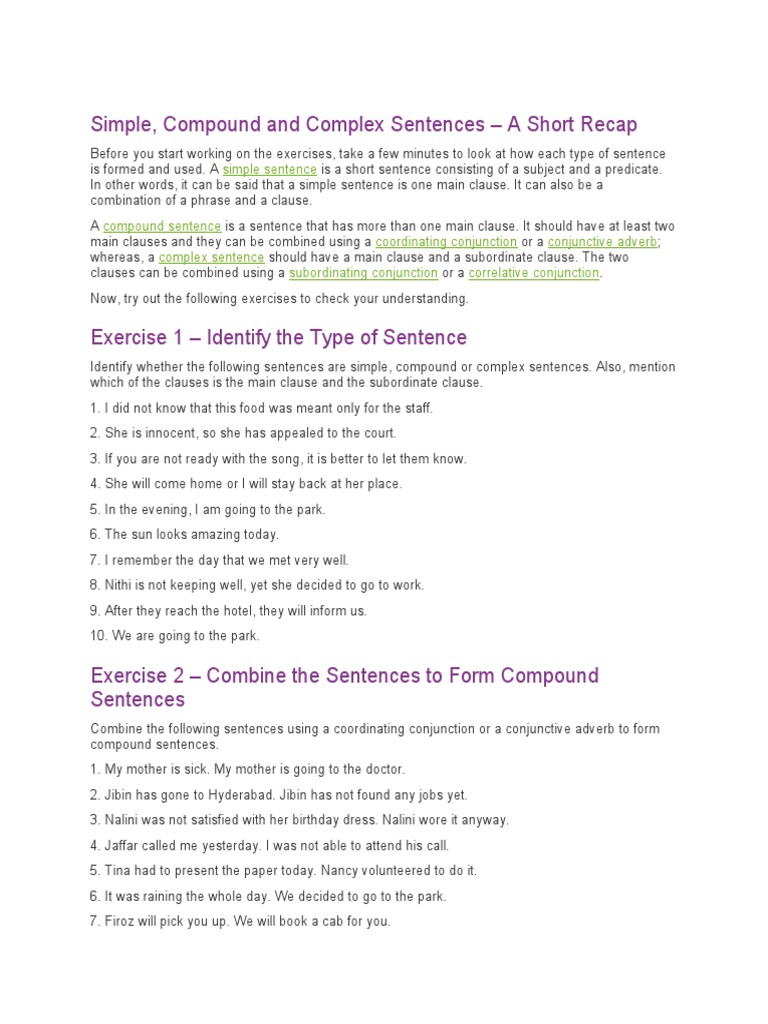 Types of Sentences Exercises | PDF