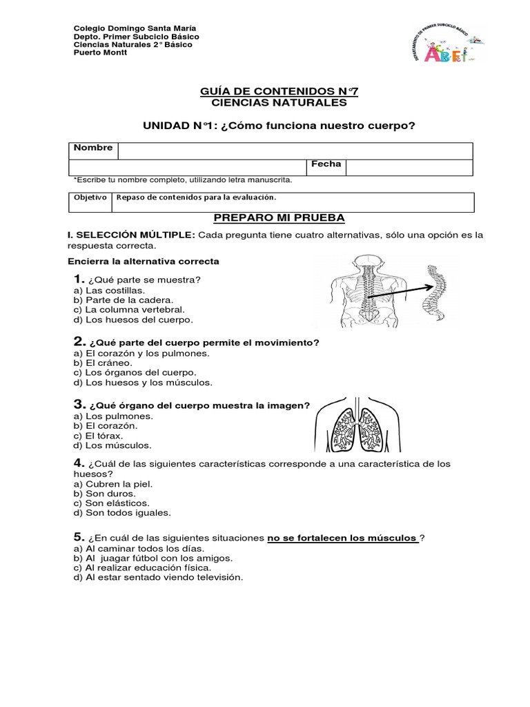 Guía N°7 Cs. Naturales 2 Basico | PDF