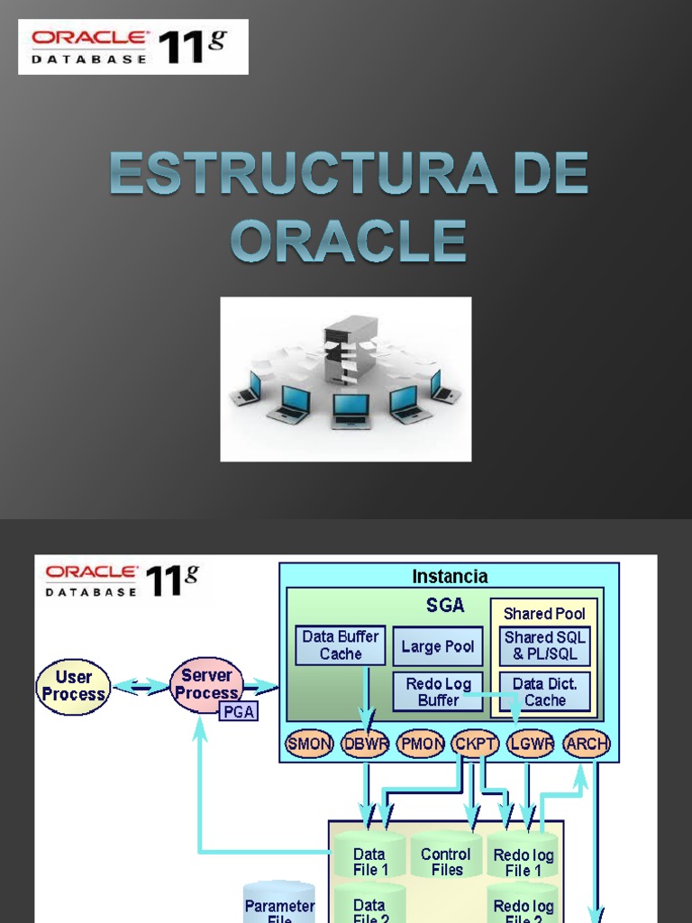 Estructura de Oracle | PDF | Caché (Computación) | Almacenador ...
