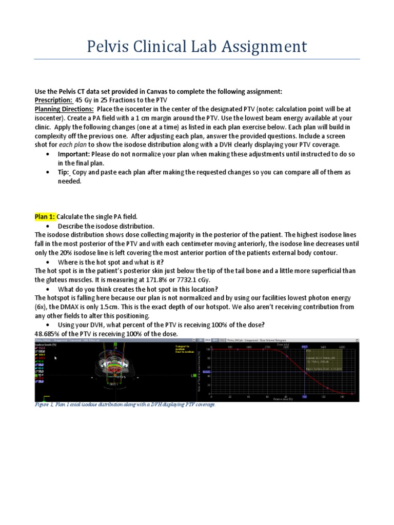 Pelvis Lab Ravernew Pdf