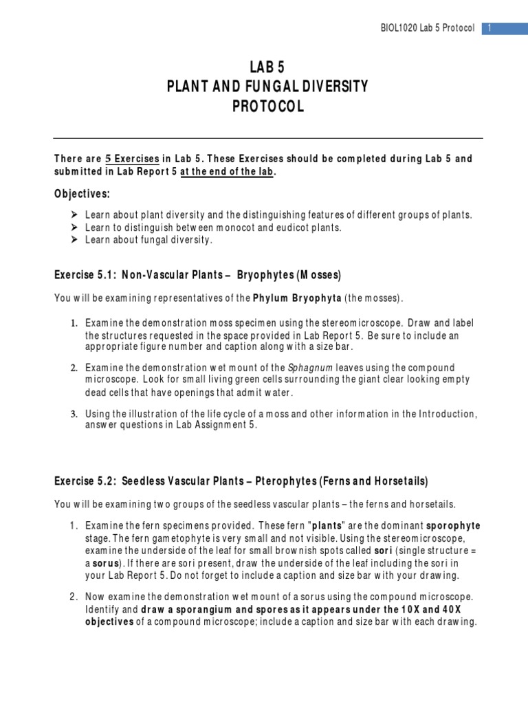 Plant and Fungal Diversity Lab Protocol | PDF