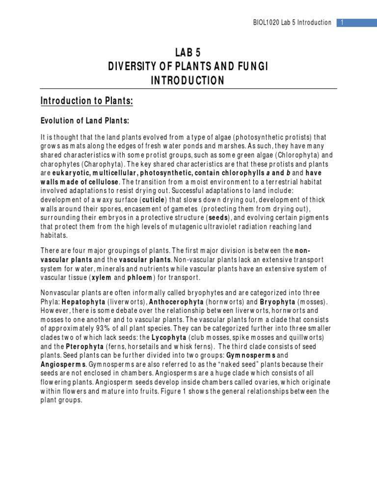 Lab 5-Introduction PDF | PDF