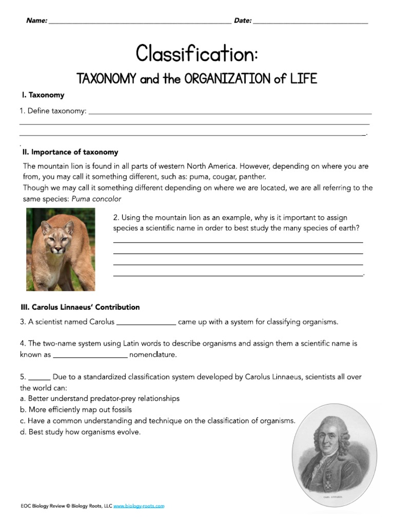 20 Classification Overview | PDF