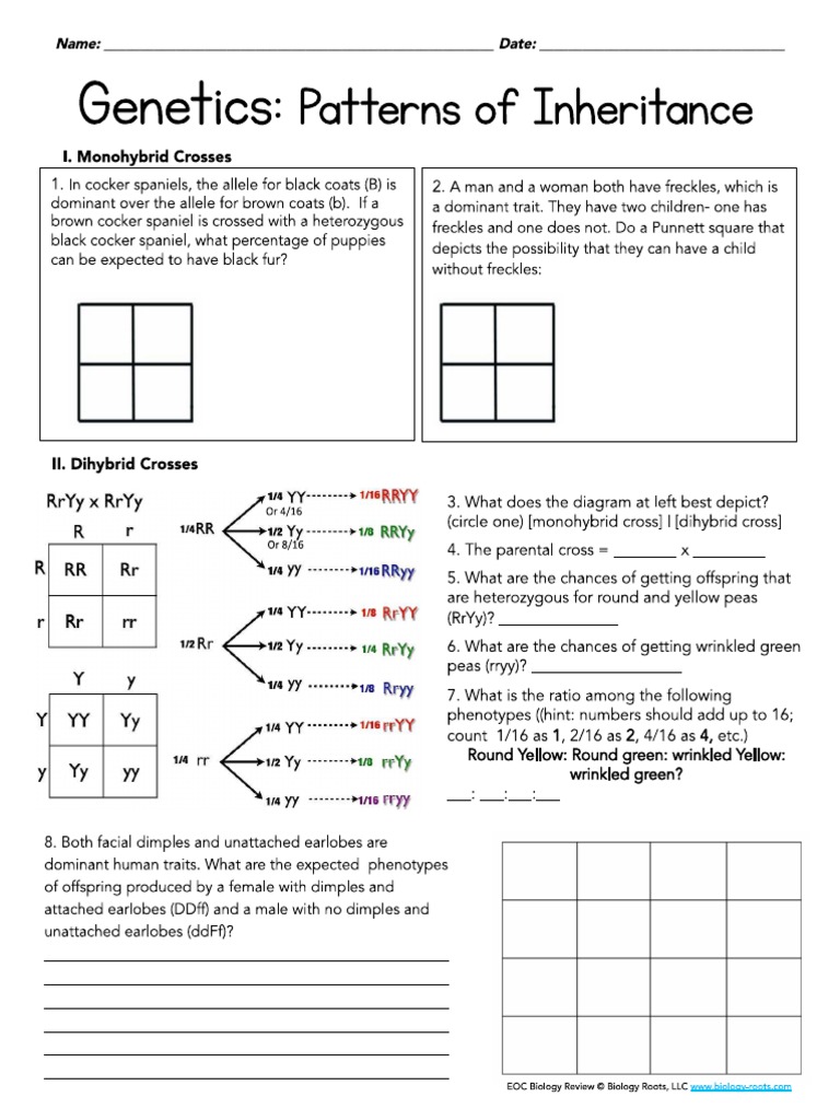 18 Genetics Patterns of Inheritance | PDF