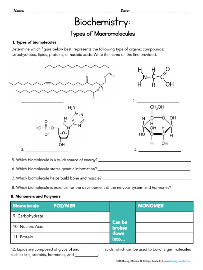 01 Biochemistry Macromolecules | PDF