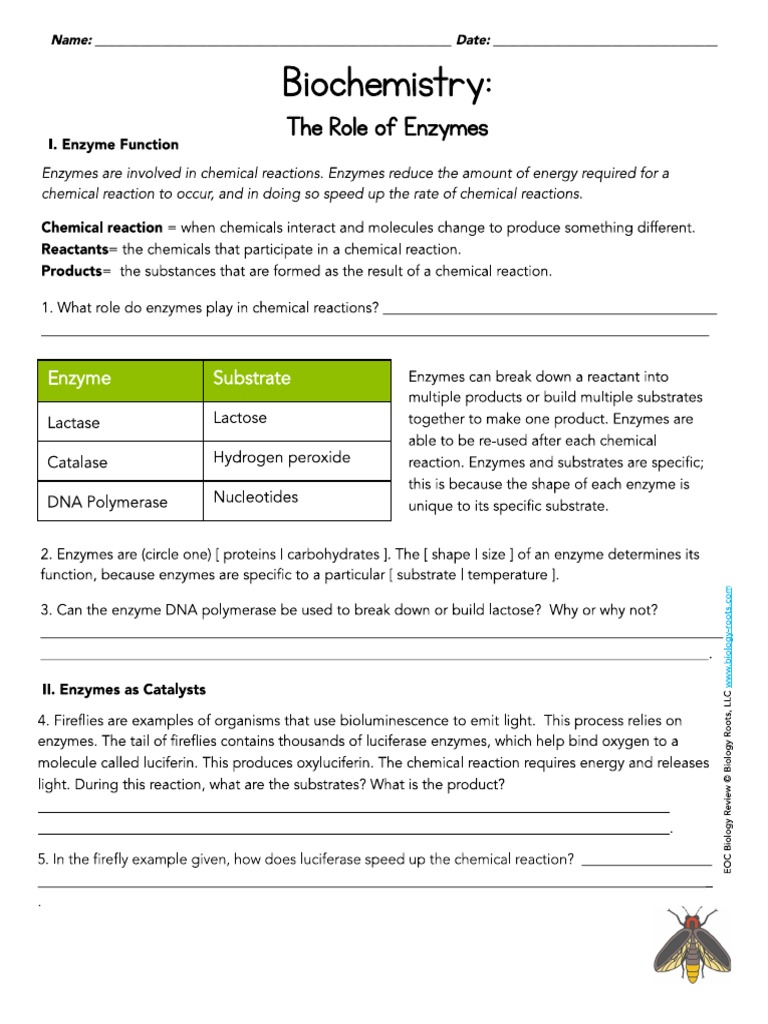 02 Biochemistry Enzymes | PDF