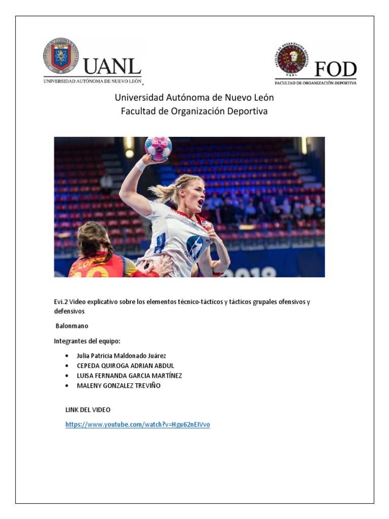 EVID balonmano | PDF
