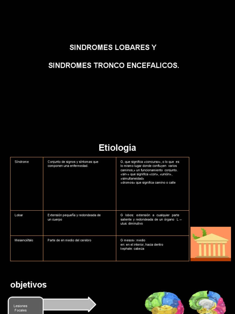 Sindromes Lobulares y Troncoencefalicos | PDF